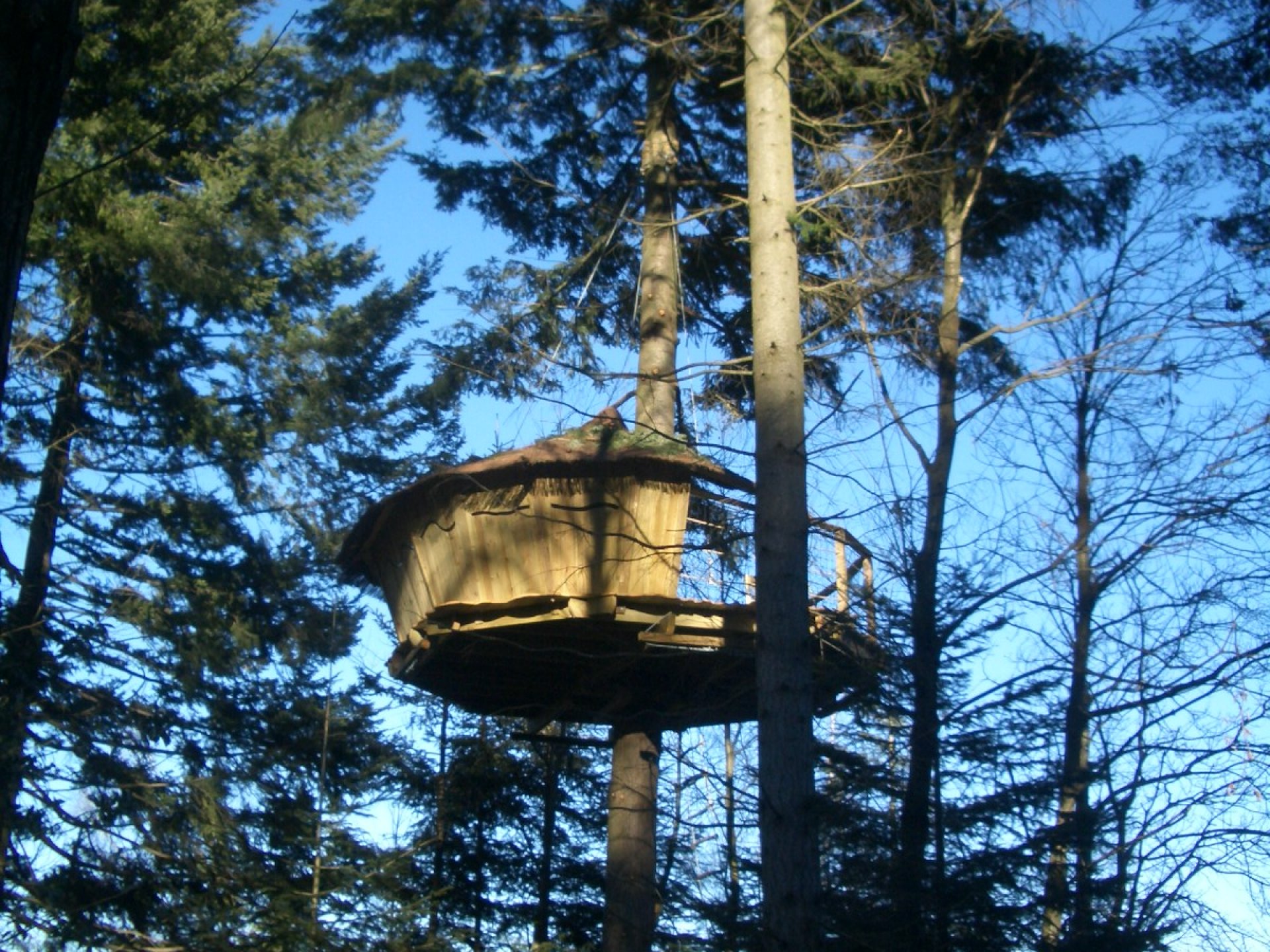 Cabane Ecureuil - Cabane dans les arbres Rhône-Alpes (Auvergne-Rhône ...