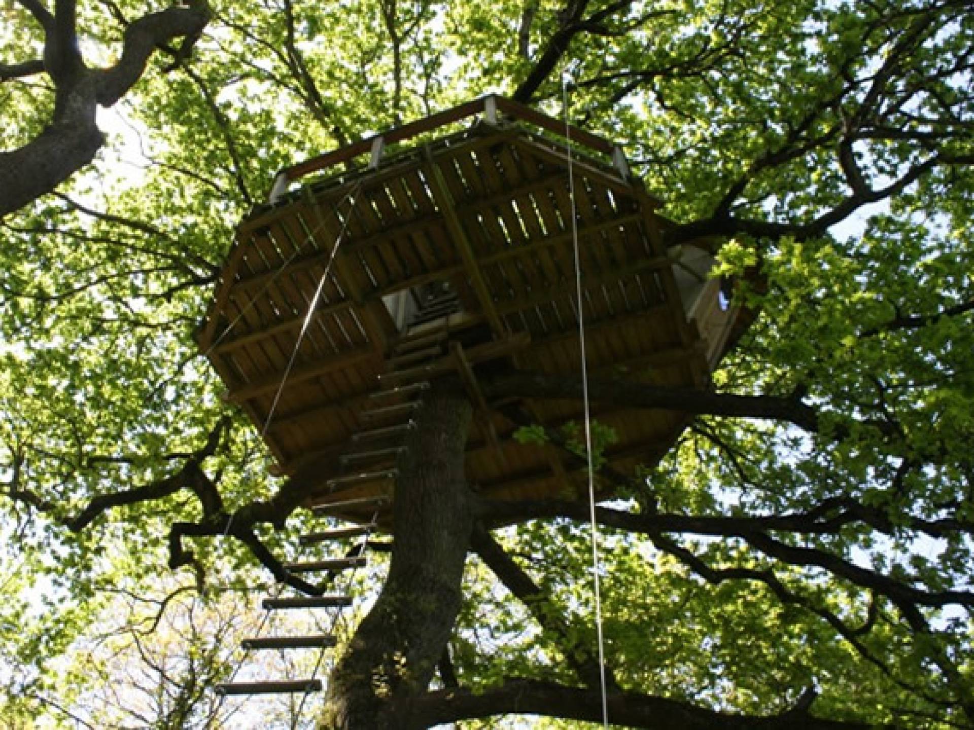 La Cabane perchée Nijal - Cabane dans les arbres Bretagne - hebergement ...