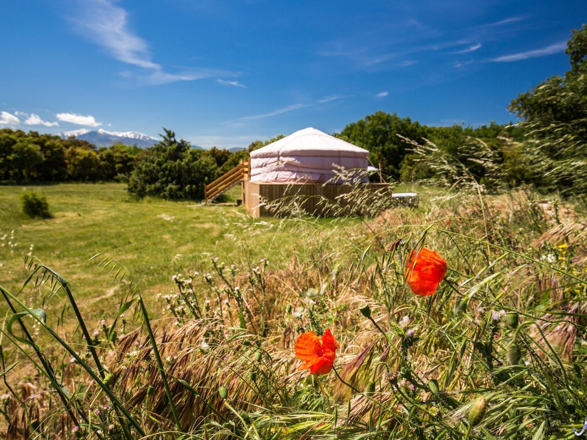 La Yourte - Yourte Languedoc-Roussillon (Occitanie) - hebergement ...
