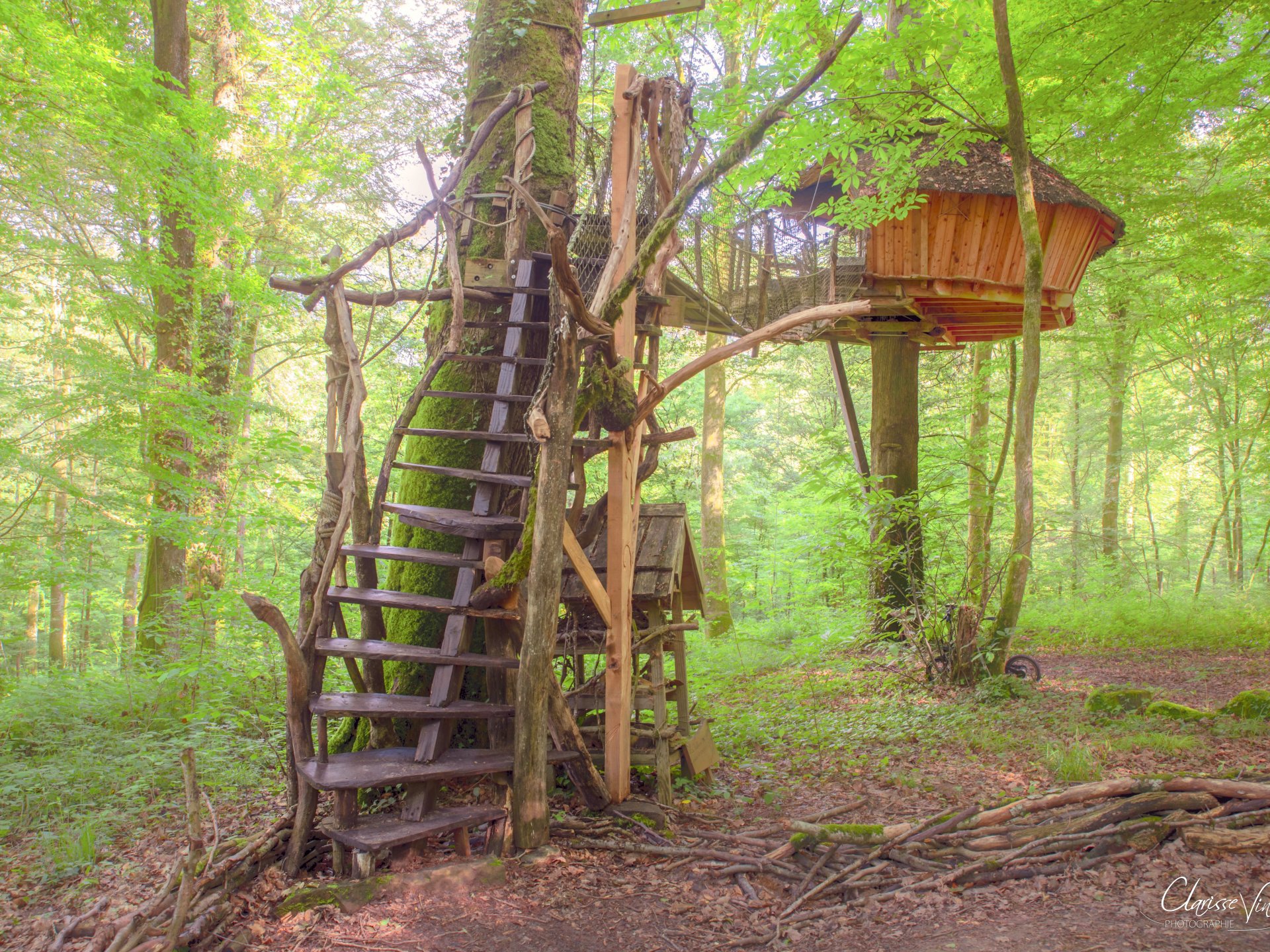 Dream - Cabane dans les arbres Champagne-Ardenne (Grand Est ...
