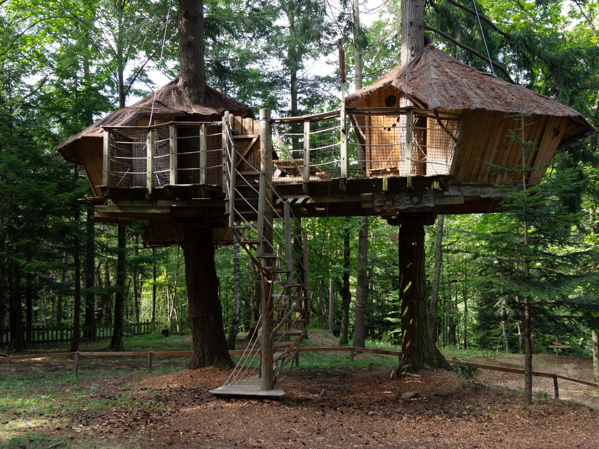 Cabane Castor - Cabane dans les arbres Rhône-Alpes (Auvergne-Rhône ...