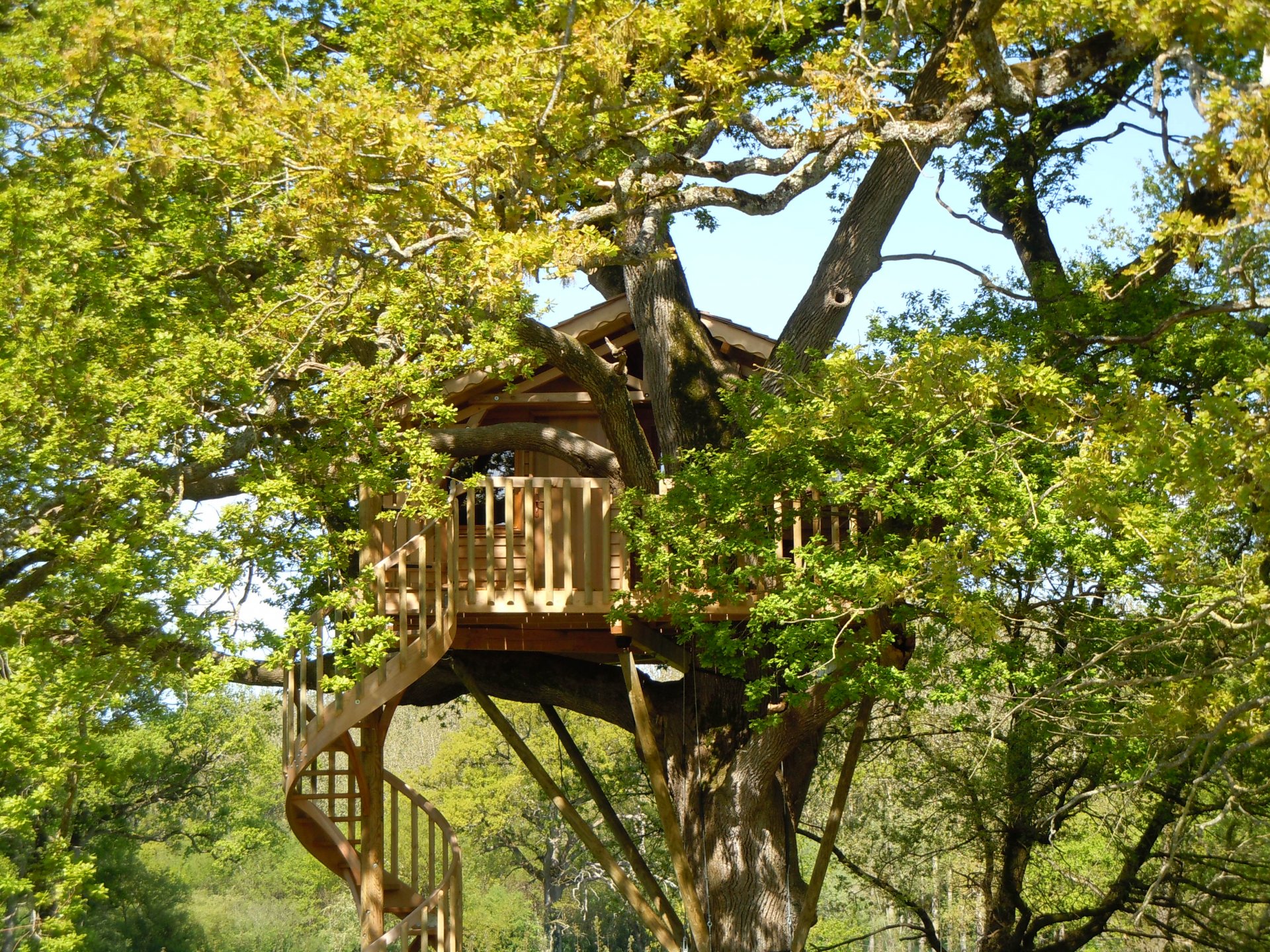 O' charmes - Cabane dans les arbres Pays de la Loire - hebergement ...