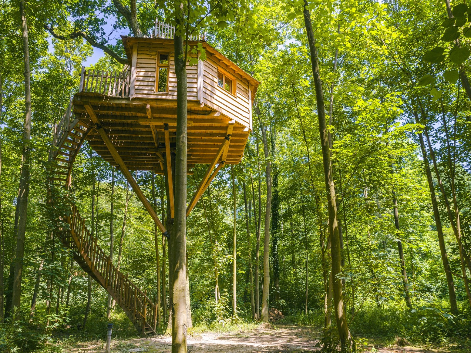 Cabane Canopée - Cabane dans les arbres Picardie (Hauts-de-France ...