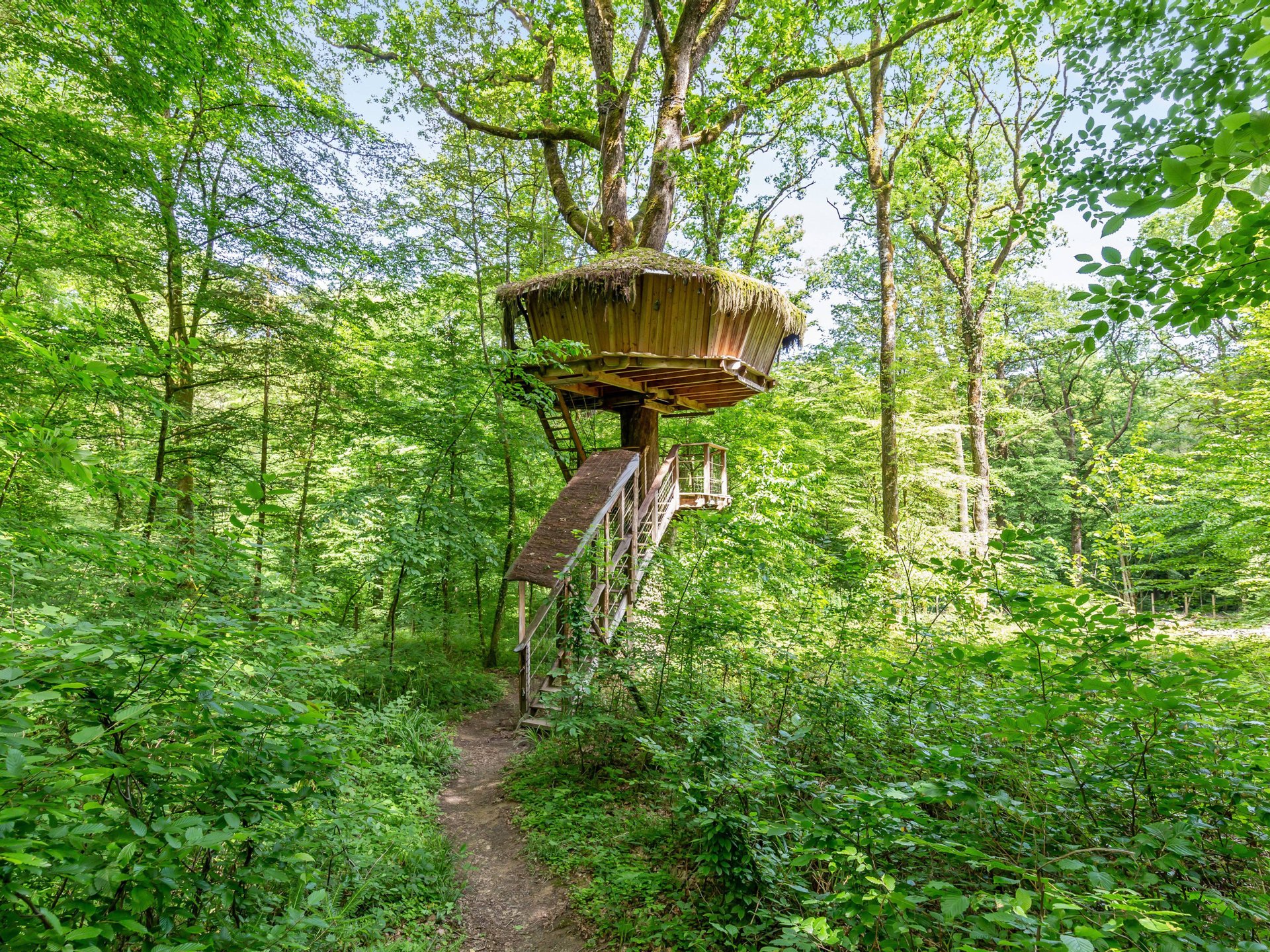 Az Alom Cabane Dans Les Arbres Champagne Ardenne Grand Est Hebergement Insolite Dormir Bulle