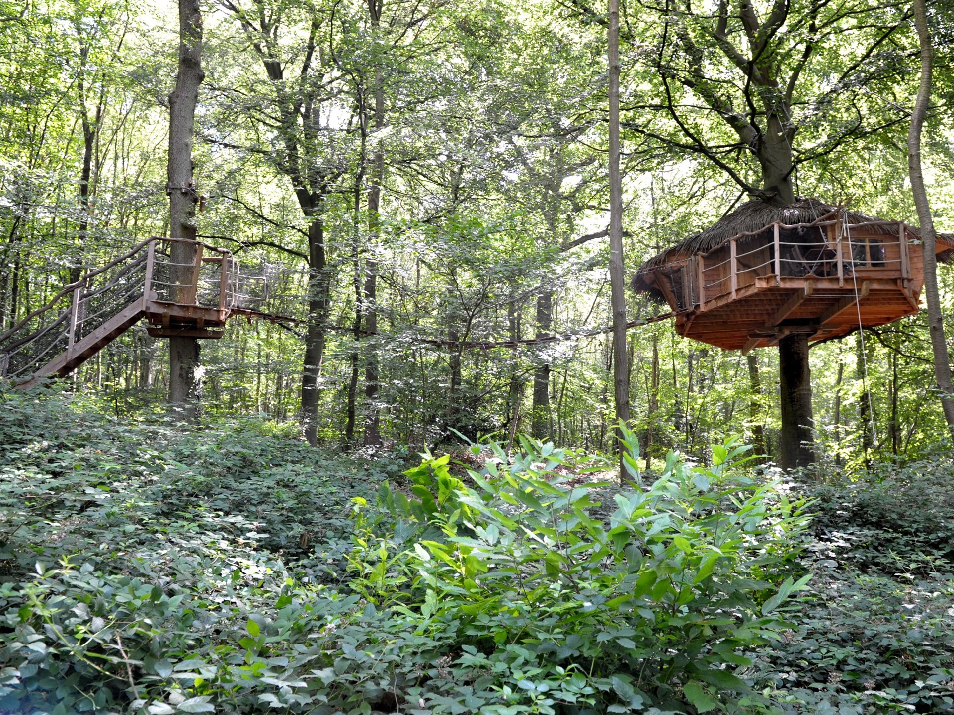 Canyon - Cabane dans les arbres Haute-Normandie (Normandie ...