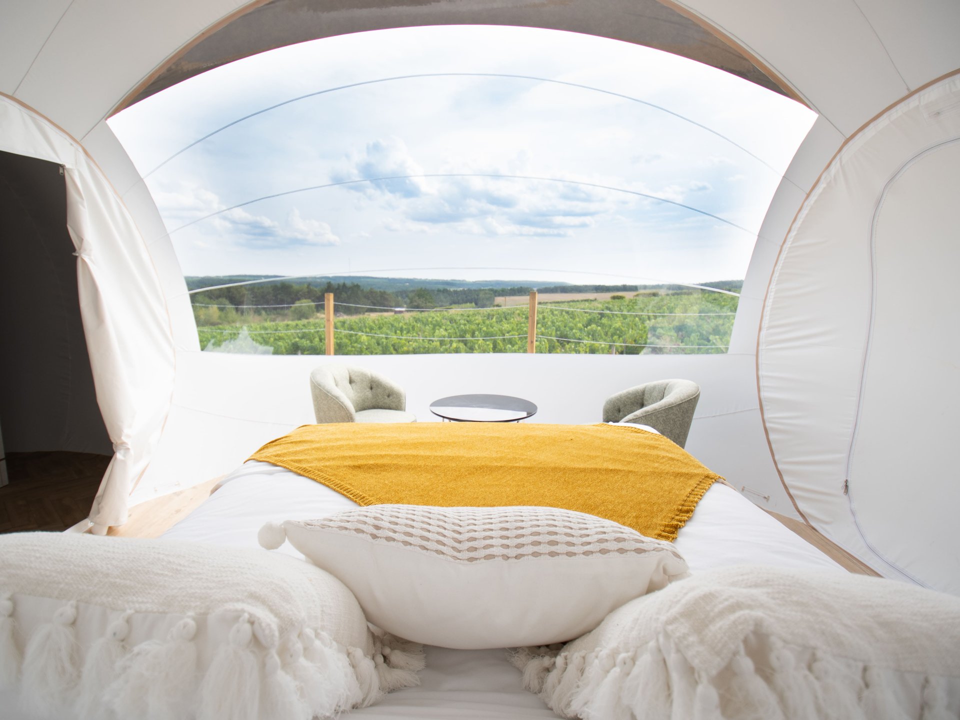 Bulle des vignes - Bulle Grand Est - location insolite