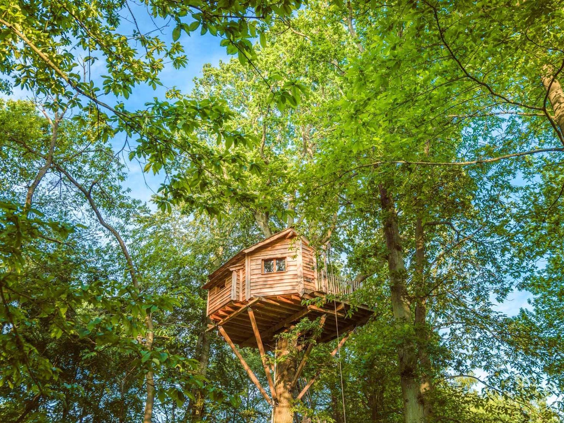 Cabane Imprenable - Cabane dans les arbres Hauts-de-France - location ...
