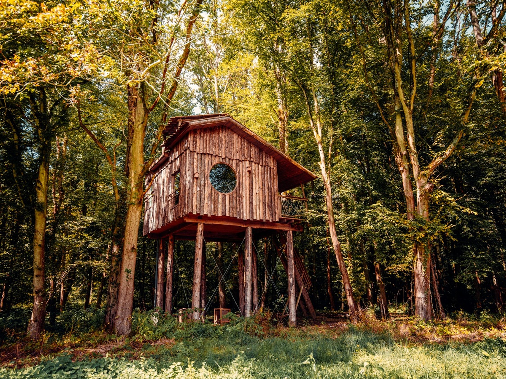 Cabane Spa Belle Forêt - Cabane sur pilotis Hauts-de-France - location ...